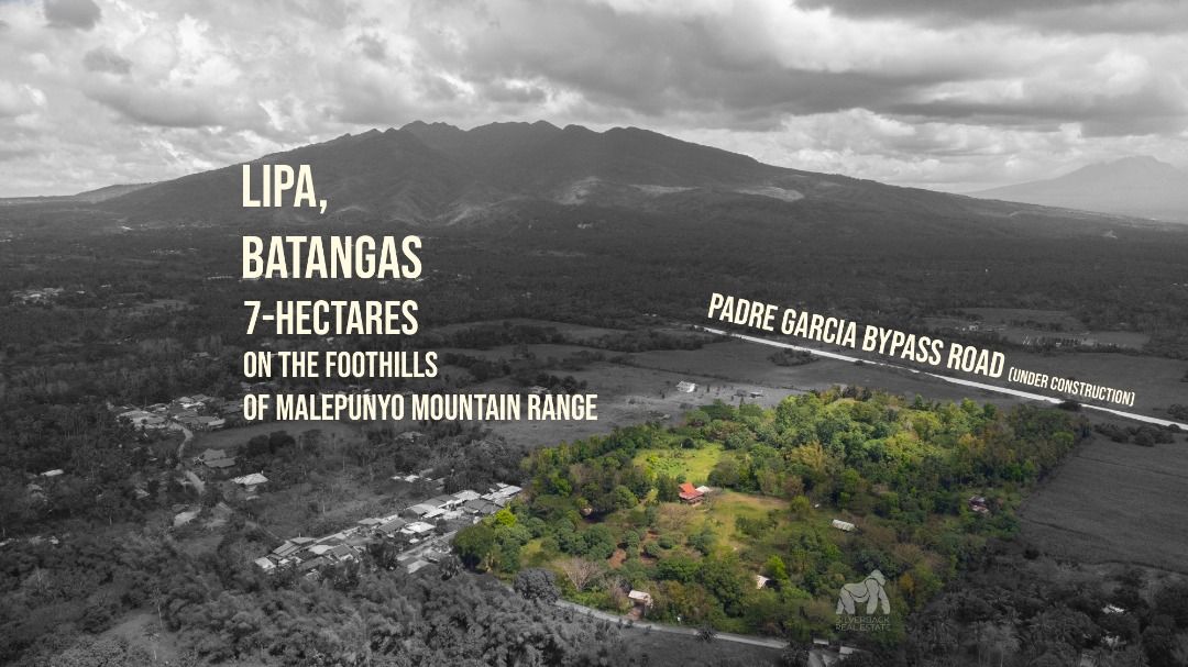 FOR SALE: 7 Hectare Lipa Ranch - Agricultural Land, Property, For Sale ...