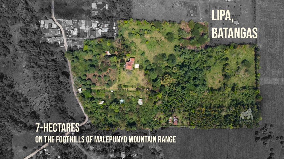 FOR SALE: 7 Hectare Lipa Ranch - Agricultural Land, Property, For Sale ...