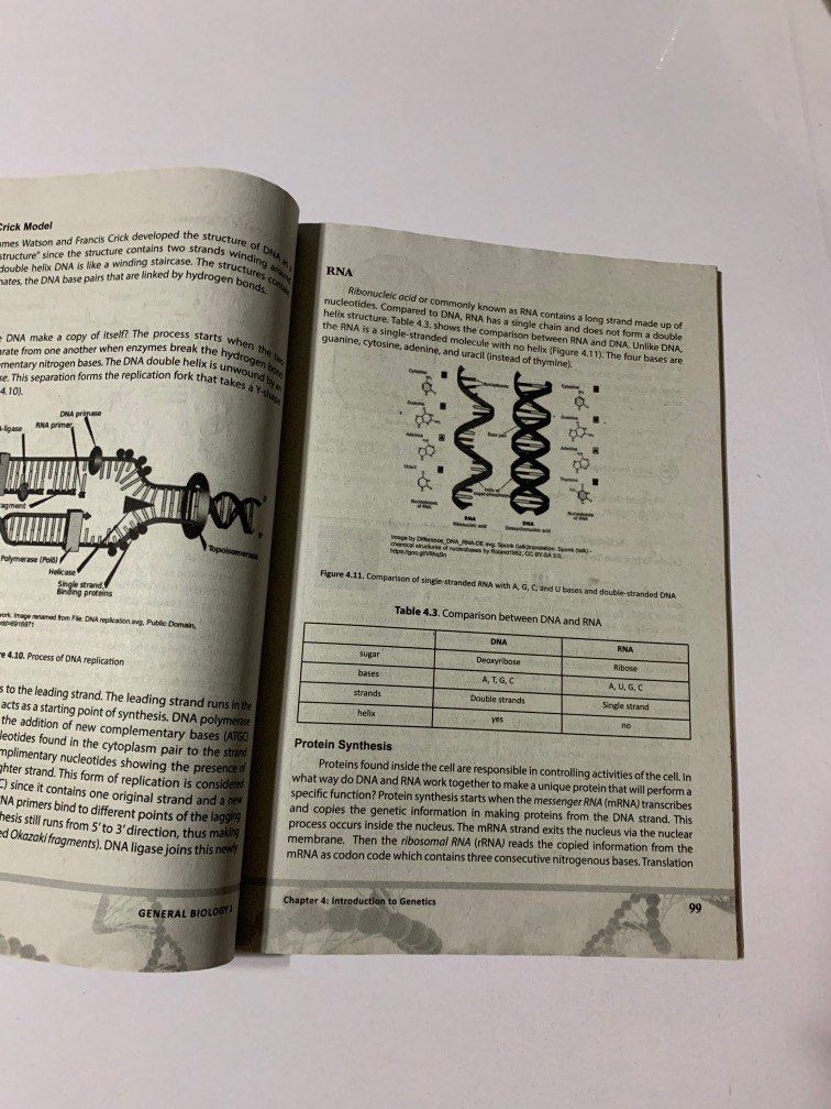 General Biology 1 Book for Grade 11 SHS (Rex Bookstore), Hobbies & Toys ...