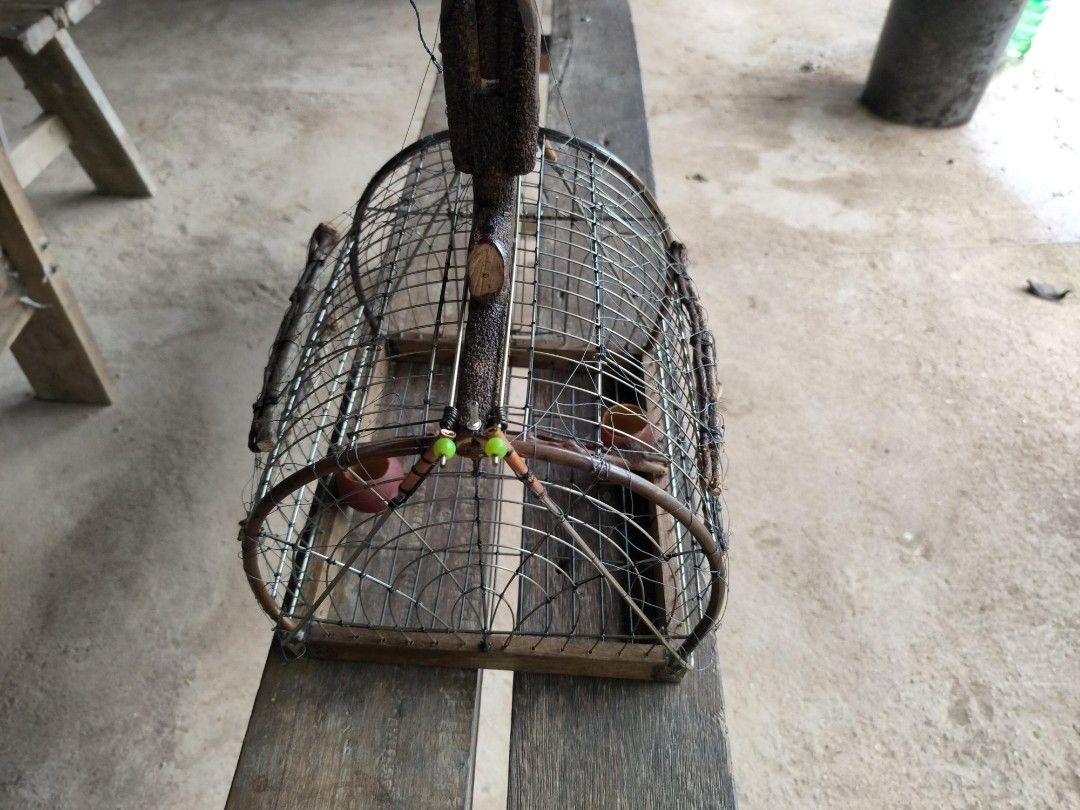 JeBak LEkir MuRAi, Pet Supplies, Homes & Other Pet Accessories on Carousell