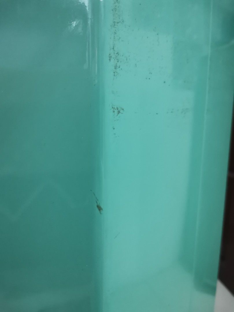 Kyowa Rice Dispenser 50 kg, TV & Home Appliances, Kitchen Appliances ...