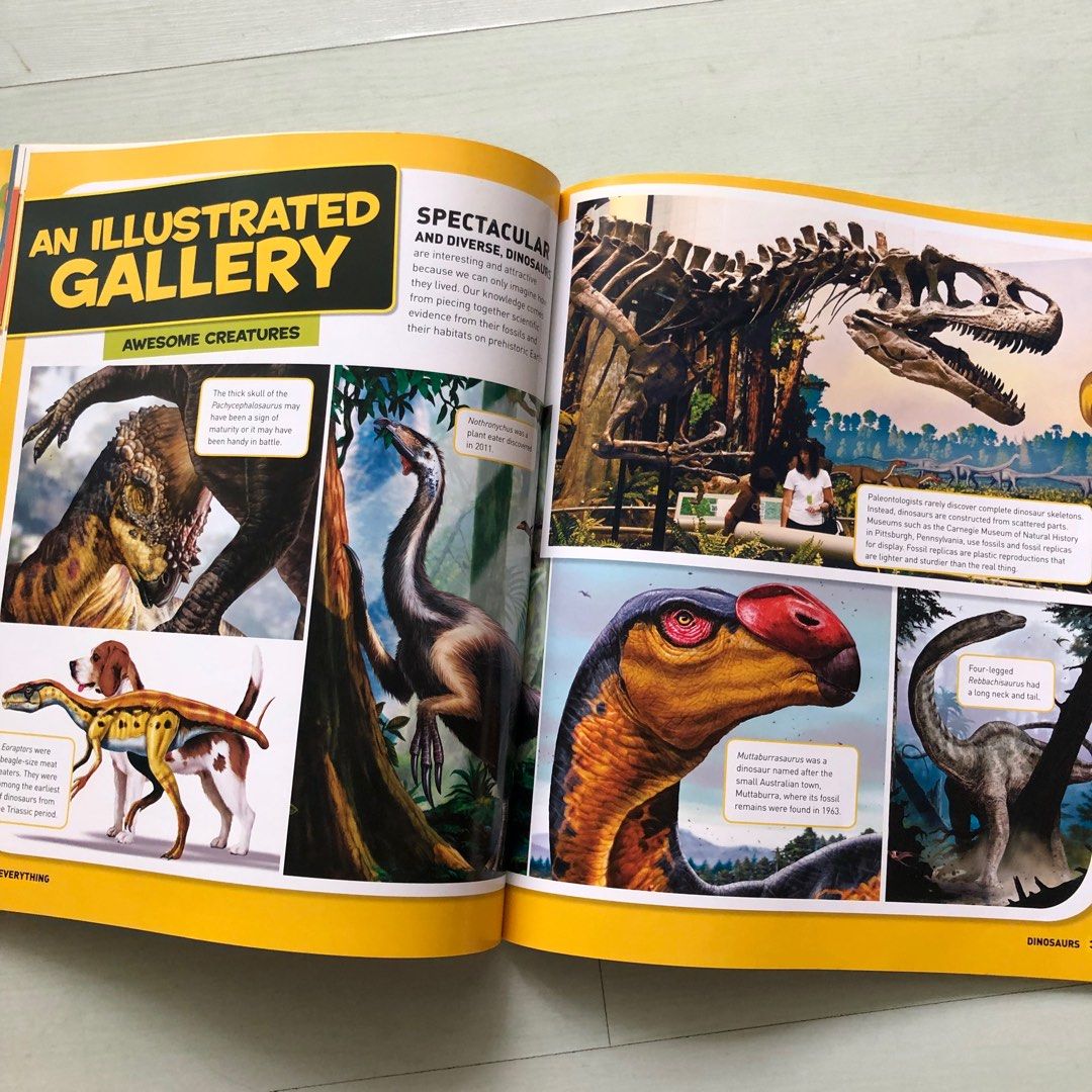 National Geographic Kids Everything Dinosaur, Hobbies & Toys, Books ...