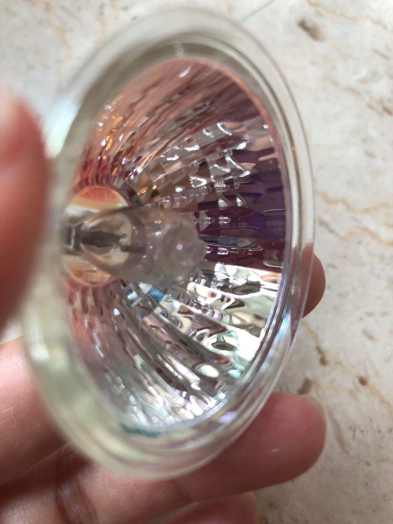 Philips GU5.3 20w 12v Open halogen bulb, Furniture & Home Living ...