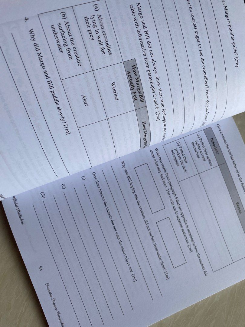 Primary 5 intensive practice comprehension Open-ended, Hobbies & Toys ...