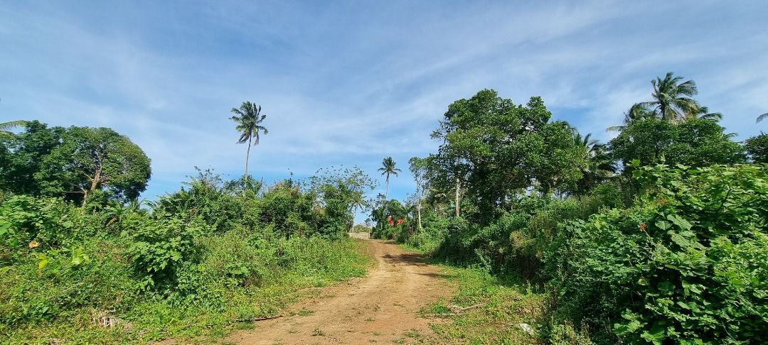 Agricultural Farm lot for sale, Property, For Sale, Lot on Carousell