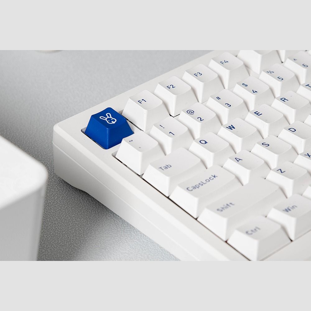 Akko MOD 007 PC Blue on White Custom Mechanical Keyboard, Computers ...