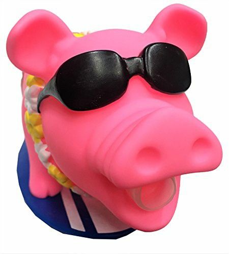 Animolds Squeeze Me Surf Piggie, Hobbies & Toys, Toys & Games on Carousell