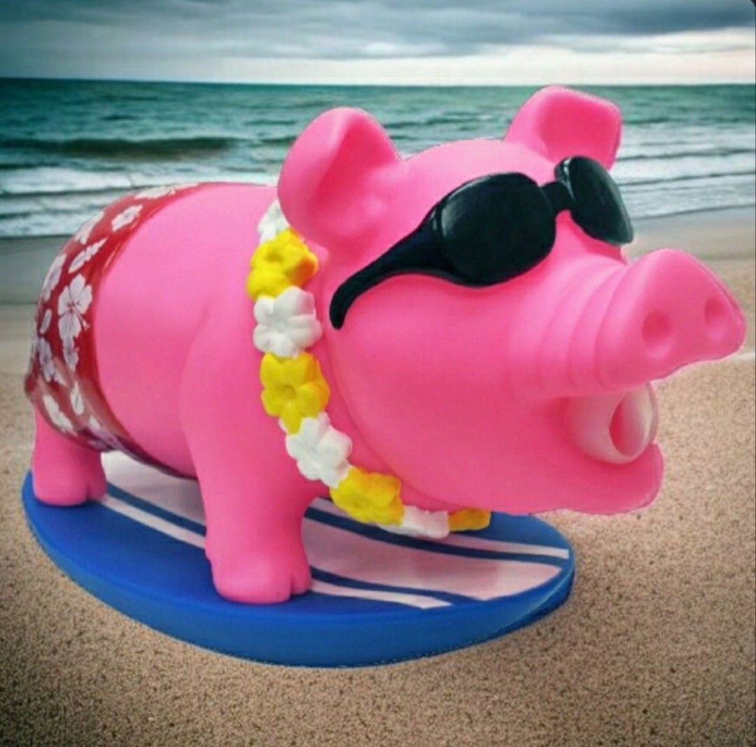 Animolds Squeeze Me Surf Piggie, Hobbies & Toys, Toys & Games on Carousell