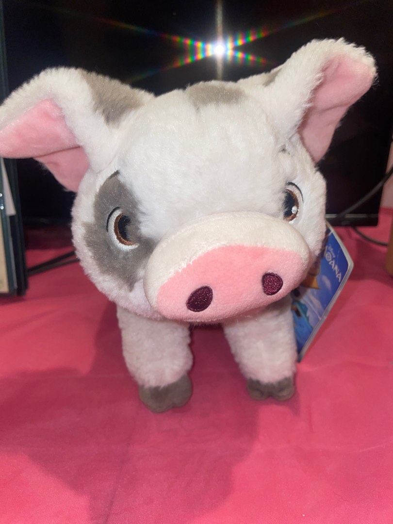 Authentic Disney World Pua from Moana Plushie Stuffed Plush Toy ...