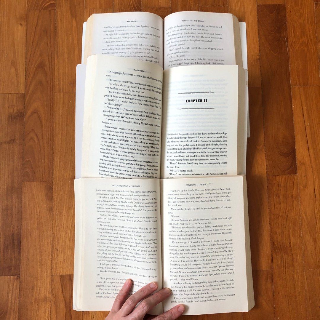 Diary of a Wimpy Kid David Walliams Minecraft novels story books ...