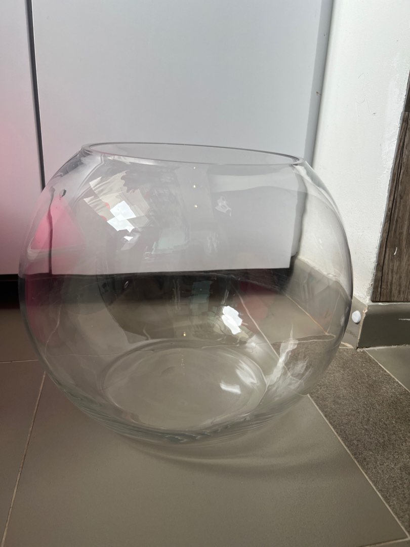 Glass Fish tank Fish bowl round fish aquarium, Pet Supplies, Homes ...