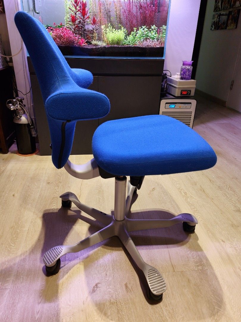 HAG capisco ergonomic work/ study chair, Furniture & Home Living ...