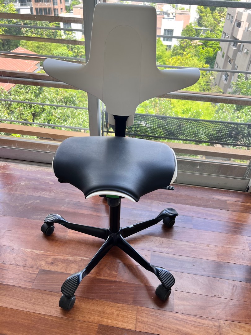 HAG Ergonomic Office Chair, Furniture & Home Living, Furniture, Chairs ...