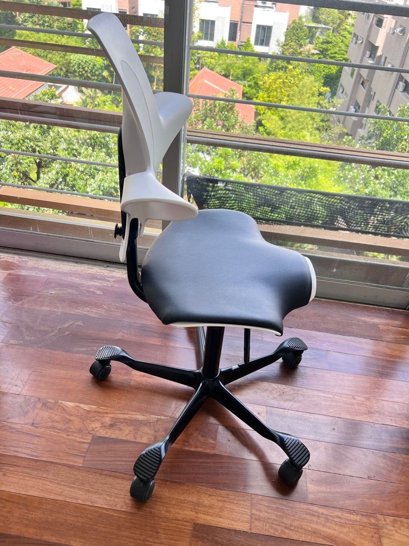 HAG Ergonomic Office Chair, Furniture & Home Living, Furniture, Chairs ...