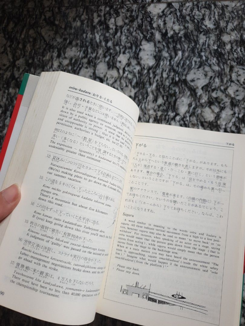 Japanese-Usage-Dictionary, Hobbies & Toys, Books & Magazines, Textbooks ...