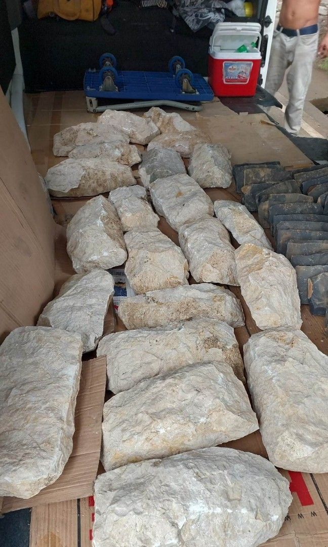 Java negra, Commercial & Industrial, Construction & Building Materials ...