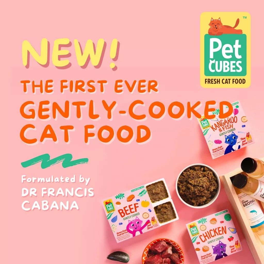 PetCubes Gently Cooked Cat Fresh Frozen Food, Pet Supplies, Pet Food on ...