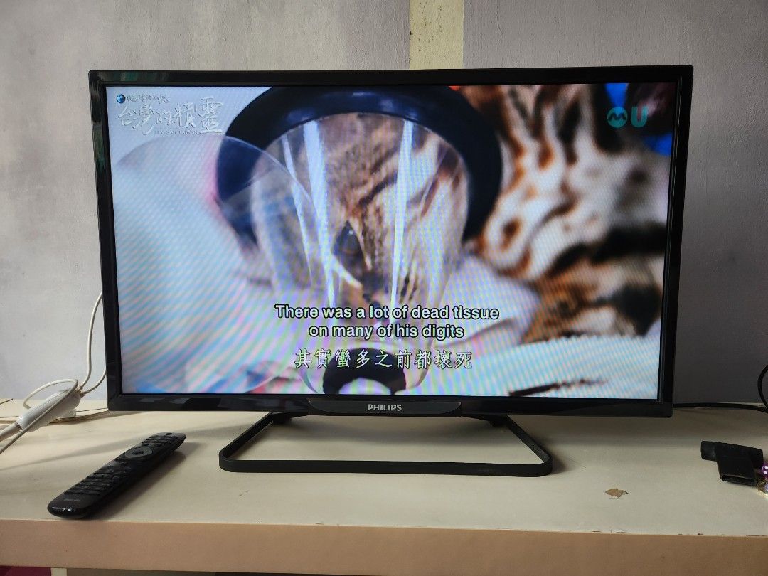 Phillips LED TV 32 inch, TV & Home Appliances, TV & Entertainment, TV ...