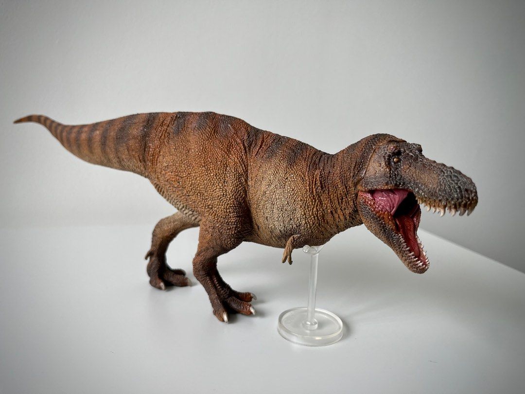 PNSO Dinosaur Museum Tyrannosaurus Rex 1:35, Hobbies & Toys ...