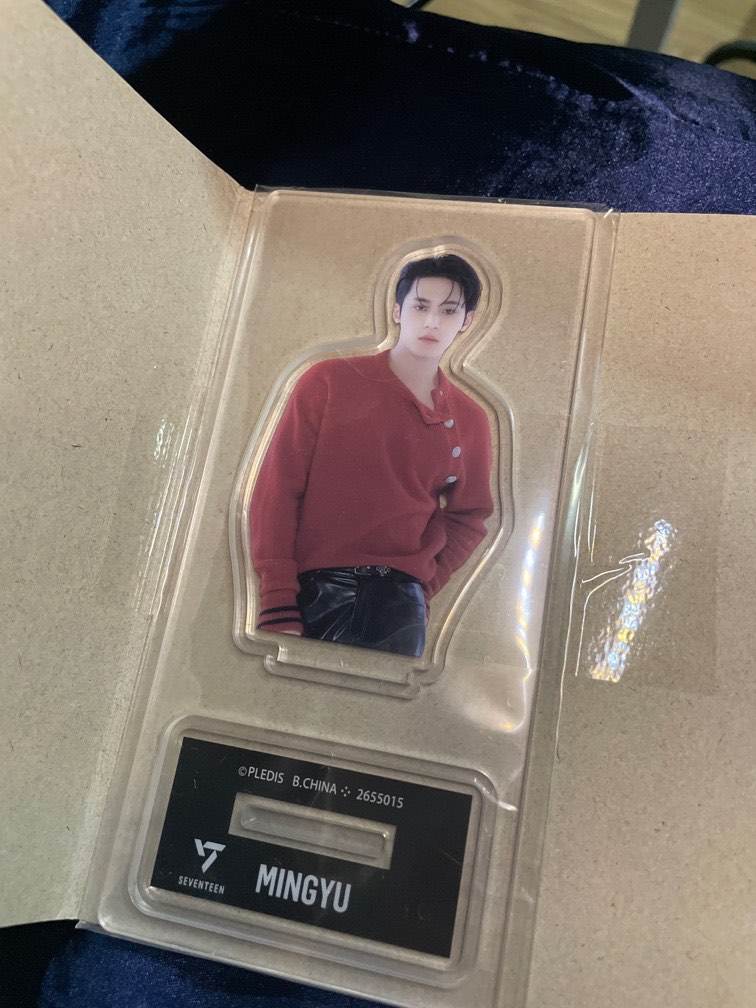 Seventeen Mingyu Bandai Namco Acrylic Standee Power of Love on Carousell