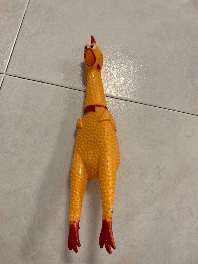Squeaky chicken toy 38cm, Hobbies & Toys, Toys & Games on Carousell