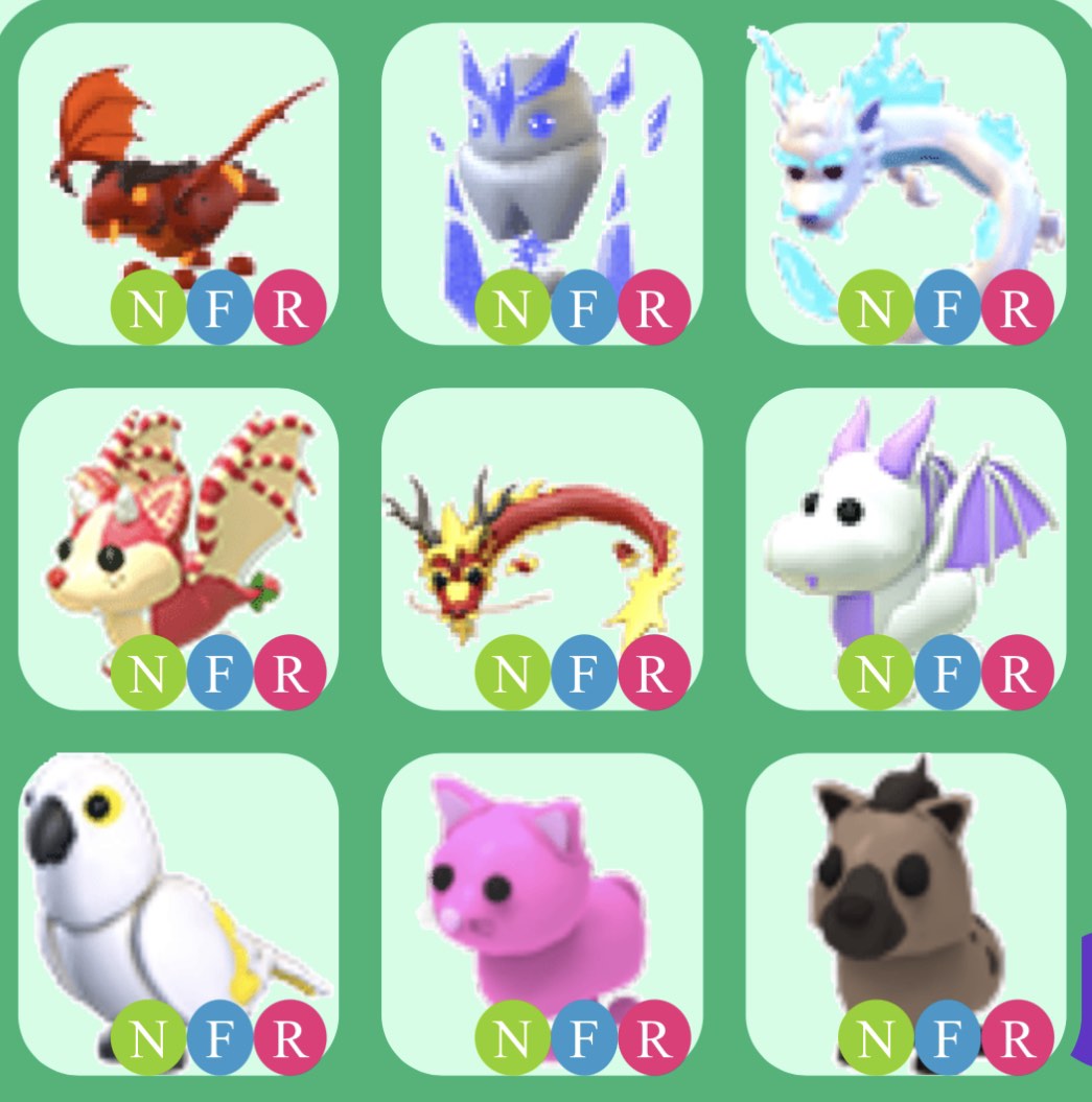 $10 EACH NFR PET ssbd, lava dragon, hyena, adopt me, Video Gaming ...