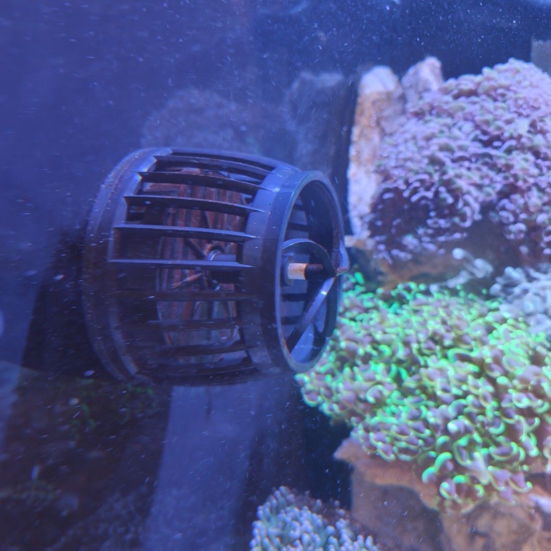 ECOTECH WAVEMAKER ANEMONE GUARD MP10, MP40, MP60, Pet Supplies, Homes ...