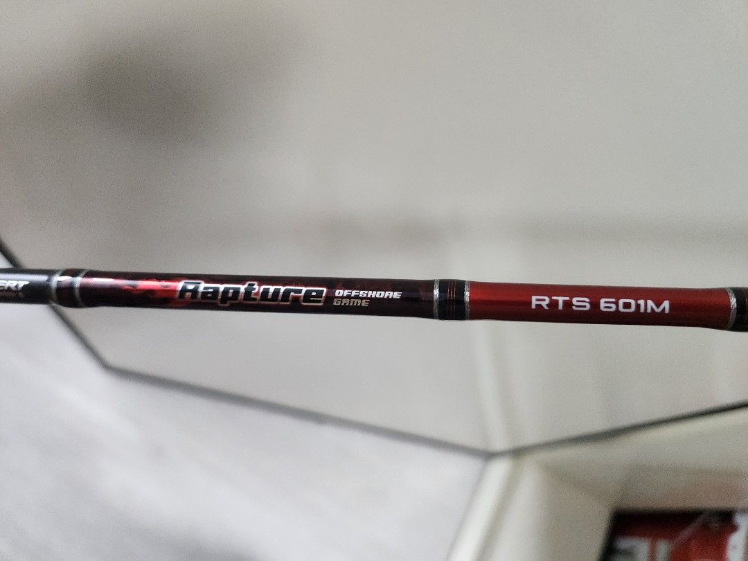 EXPERT GRAPHITE CARBON ROD, Sports Equipment, Fishing on Carousell