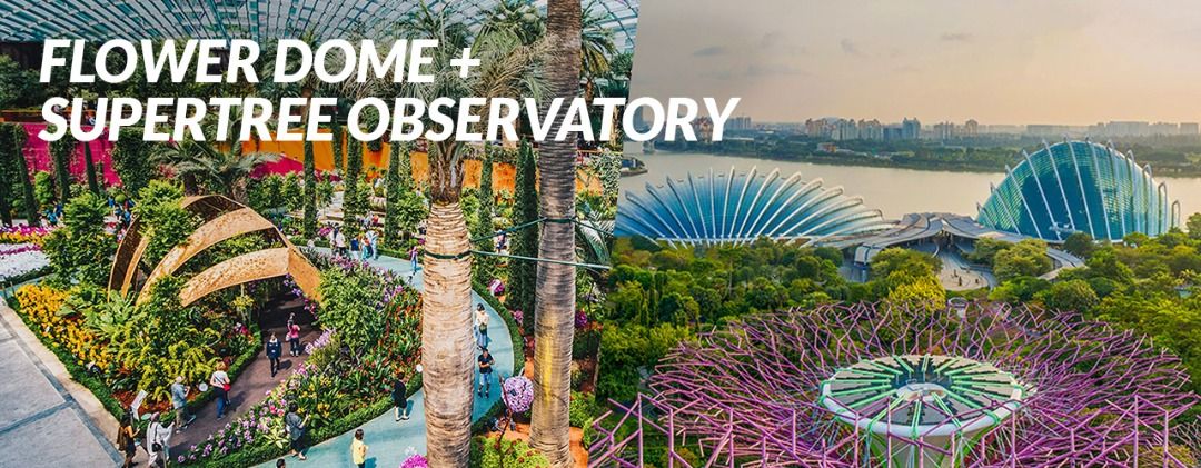 Discounted further - Flower Dome + Supertree Observatory, Tickets ...