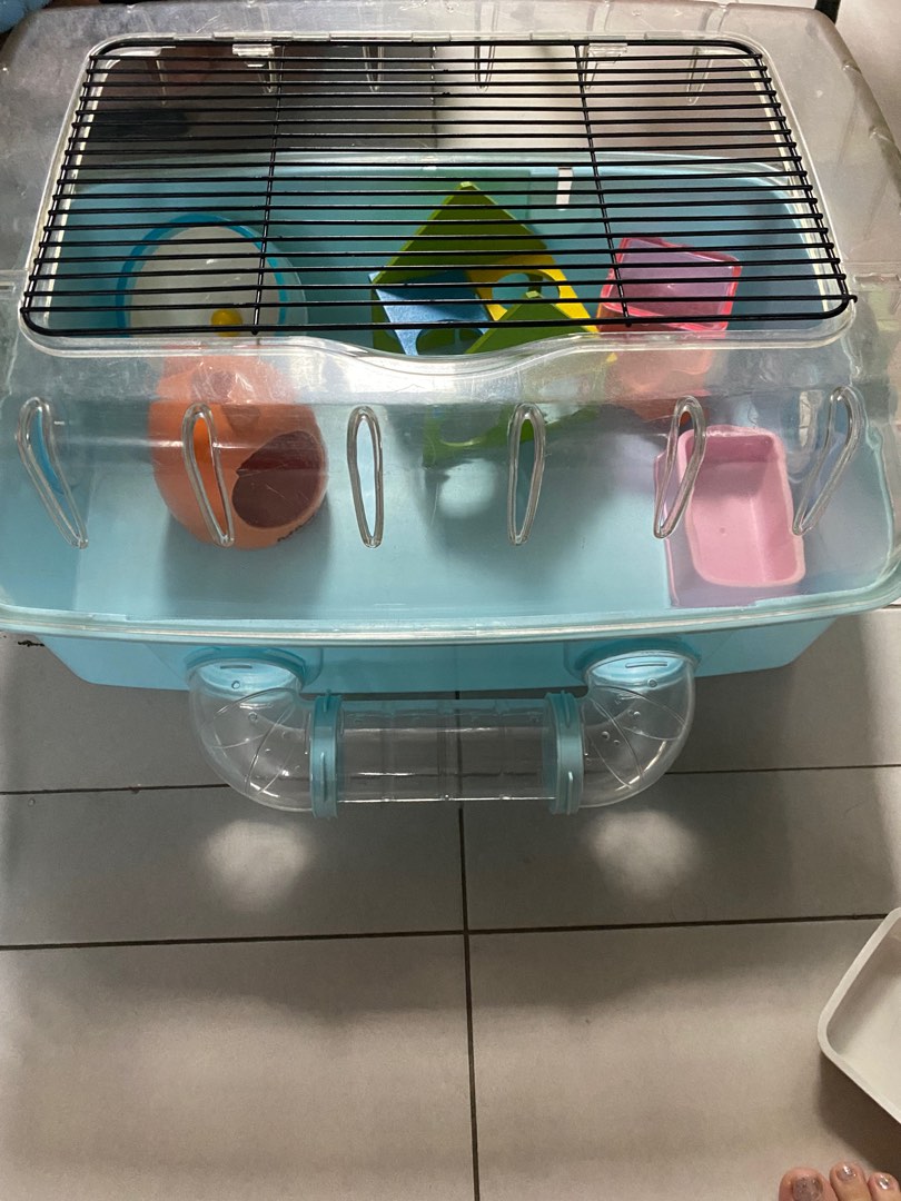 Hamster cage, Pet Supplies, Homes & Other Pet Accessories on Carousell