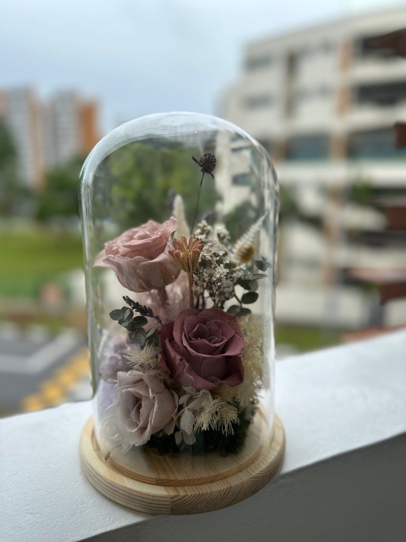 Huge Preserved Flower Bell Jar, Hobbies & Toys, Stationery & Craft ...