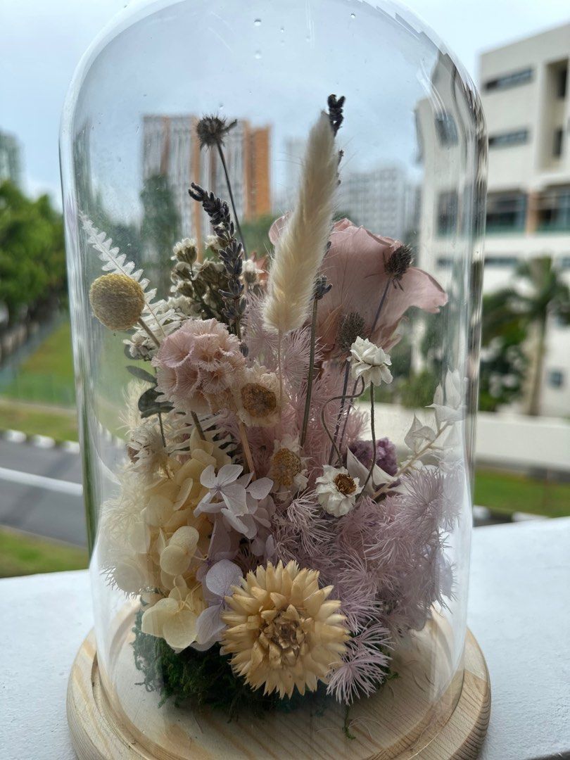 Huge Preserved Flower Bell Jar, Hobbies & Toys, Stationery & Craft ...