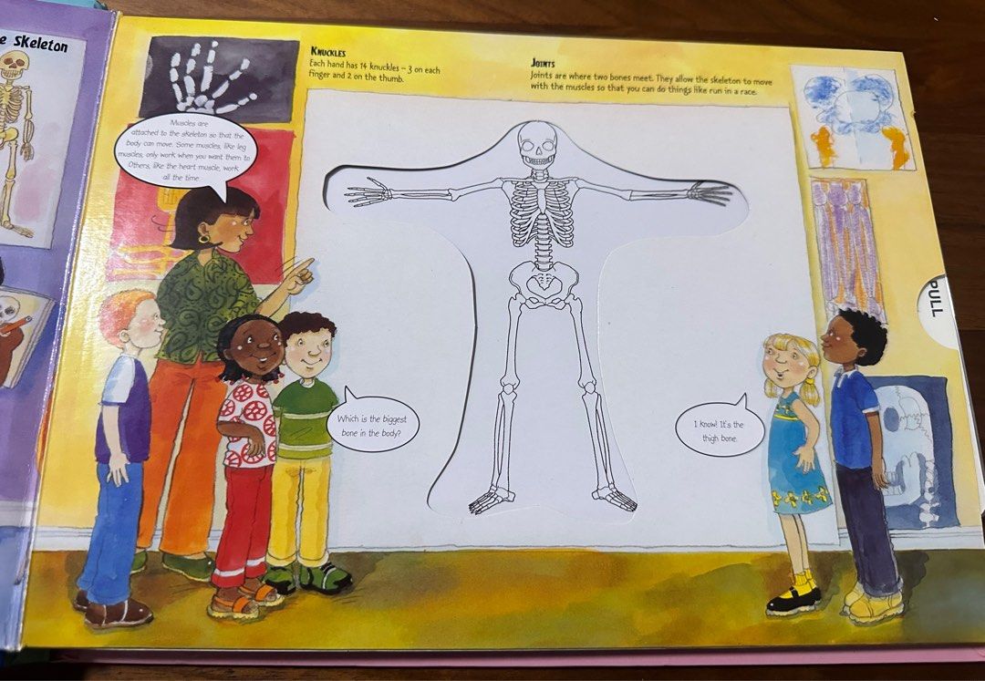 Magic skeleton pull out books, Hobbies & Toys, Books & Magazines ...