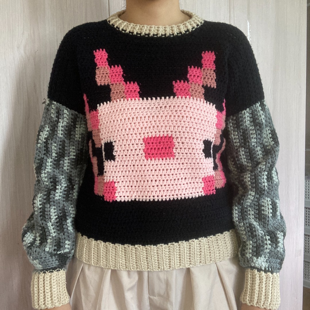 Minecraft Axolotl Sweater Crochet on Carousell