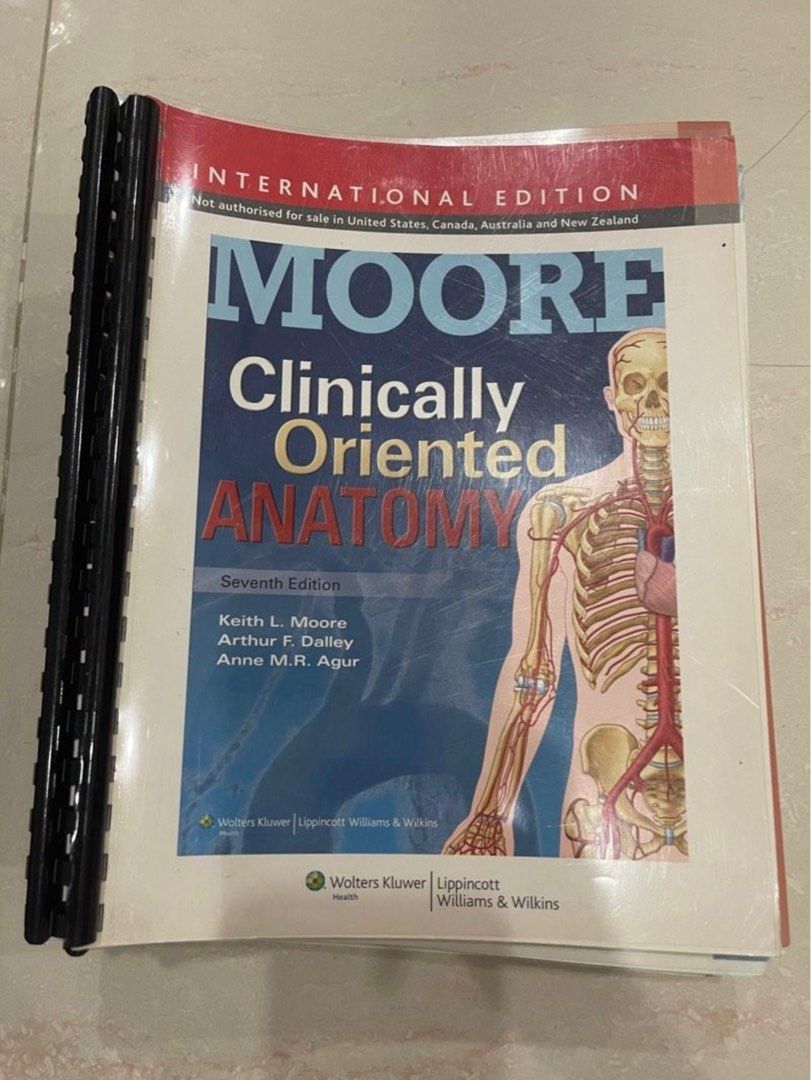 MOORE Clinically Oriented Anatomy, Hobbies & Toys, Books & Magazines ...