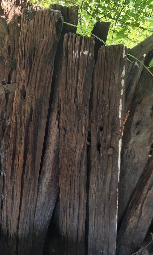 Traviesa Wood, Furniture & Home Living, Gardening, Gardening Tools ...