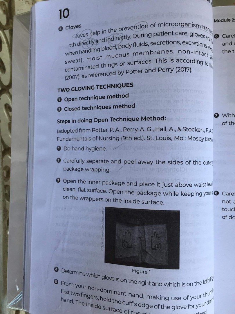 UST SHS Introduction to Healthcare Book, Hobbies & Toys, Books ...
