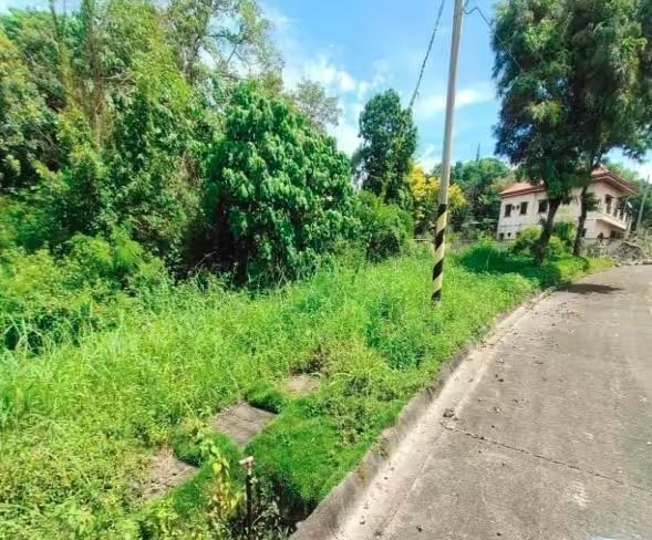 Vacant Lot For Sale in Lot 26, Block 6, Puerto Heights Village ...
