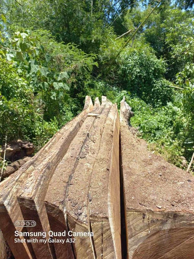 Acacia wood 12 -14 feet ang haba. 40” inches width 4" kapal, Commercial ...