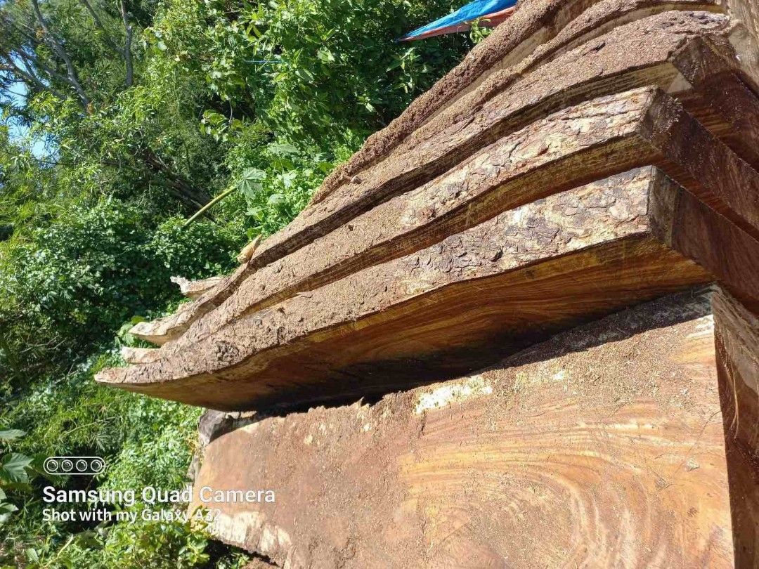 Acacia wood 12 -14 feet ang haba. 40” inches width 4" kapal, Commercial ...