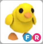 Adopt me Chick (Fly, Ride) on Carousell