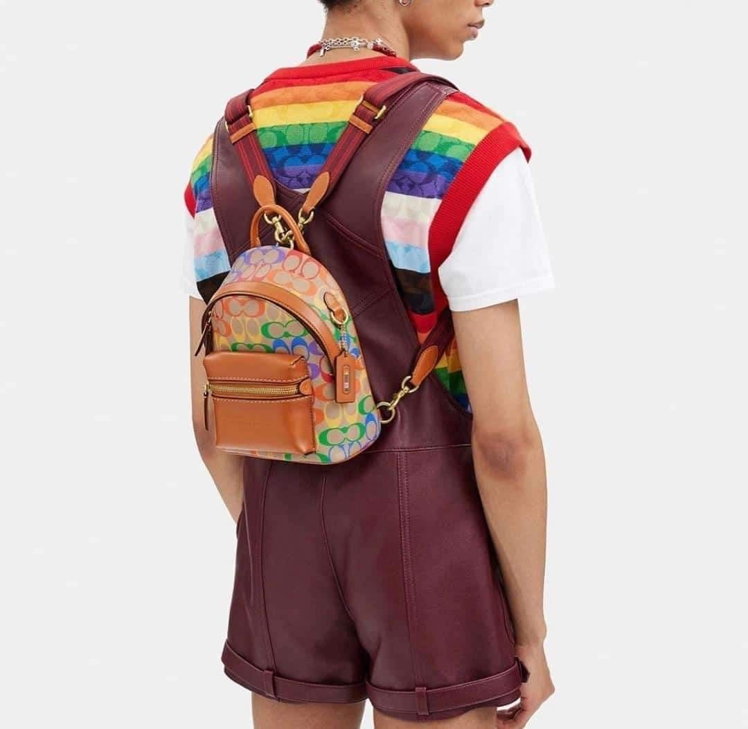COACH CHARTER BACKPACK 18 IN RAINBOW SIGNATURE CANVAS, Luxury, Bags ...