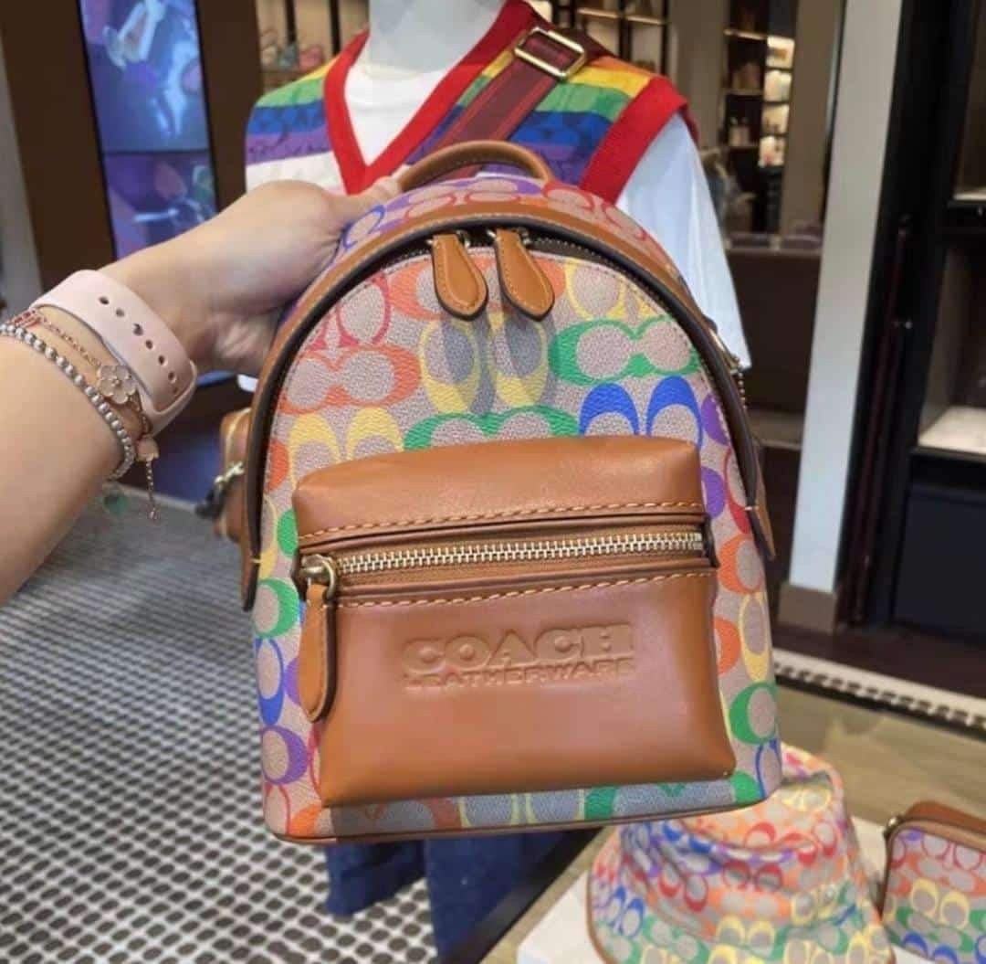 COACH CHARTER BACKPACK 18 IN RAINBOW SIGNATURE CANVAS, Luxury, Bags ...