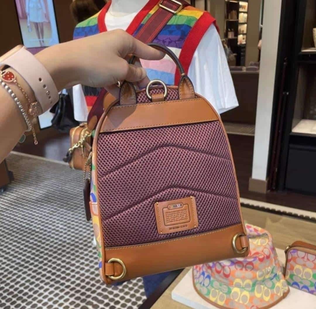COACH CHARTER BACKPACK 18 IN RAINBOW SIGNATURE CANVAS, Luxury, Bags ...
