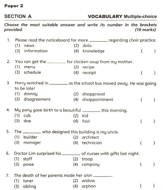 Complete Grammar, Vocabulary, Comprehension P1-P6, Hobbies & Toys ...