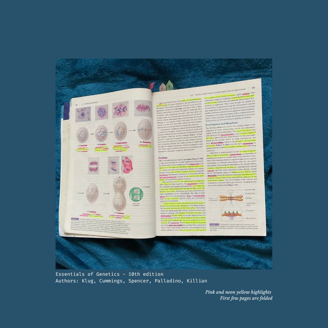 Essentials of Genetics (10th ed), Hobbies & Toys, Books & Magazines ...