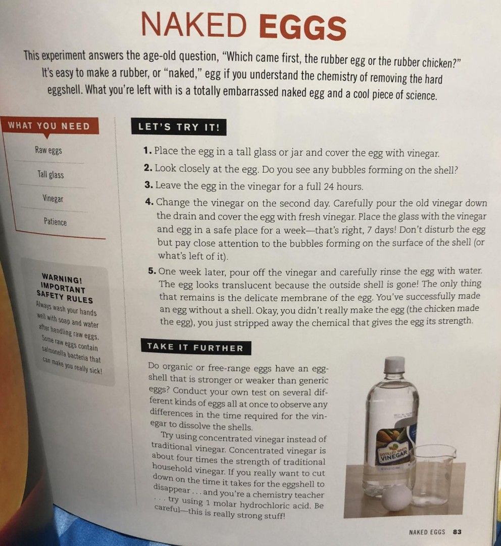 Naked Eggs and Flying Potato: Unforgettable Experiments That Makes ...