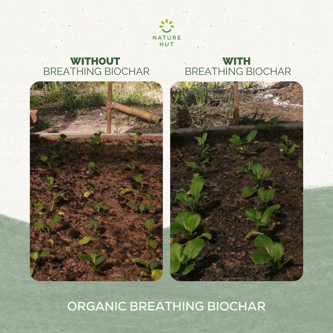 Nature Hut Organic Breathing Biochar - Soil Enhancer , Use Less Fertilizer , Terrarium Substrate ...