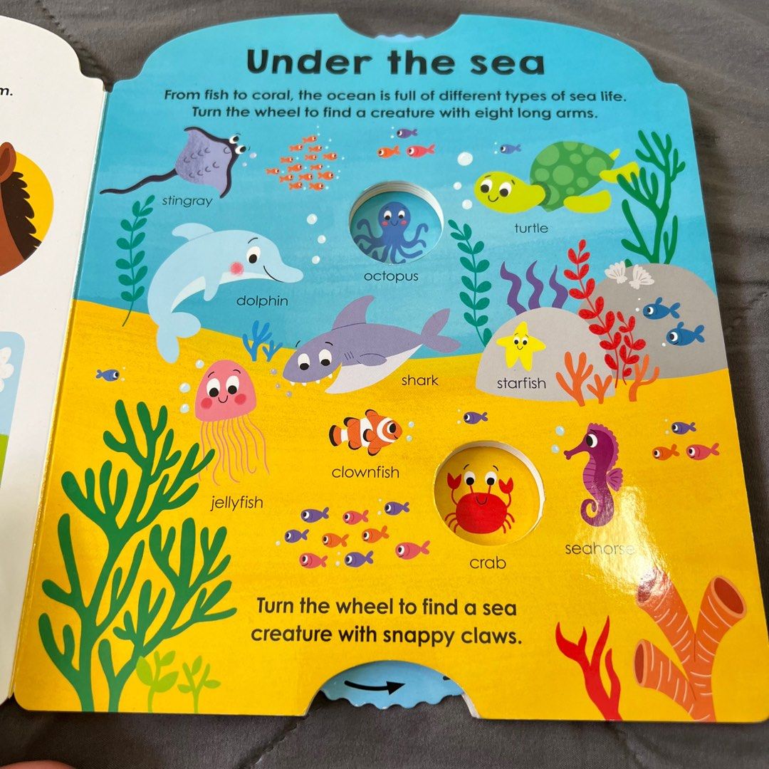 Priddy Learning : My First : Animals : Turn the Wheel, Hobbies & Toys ...