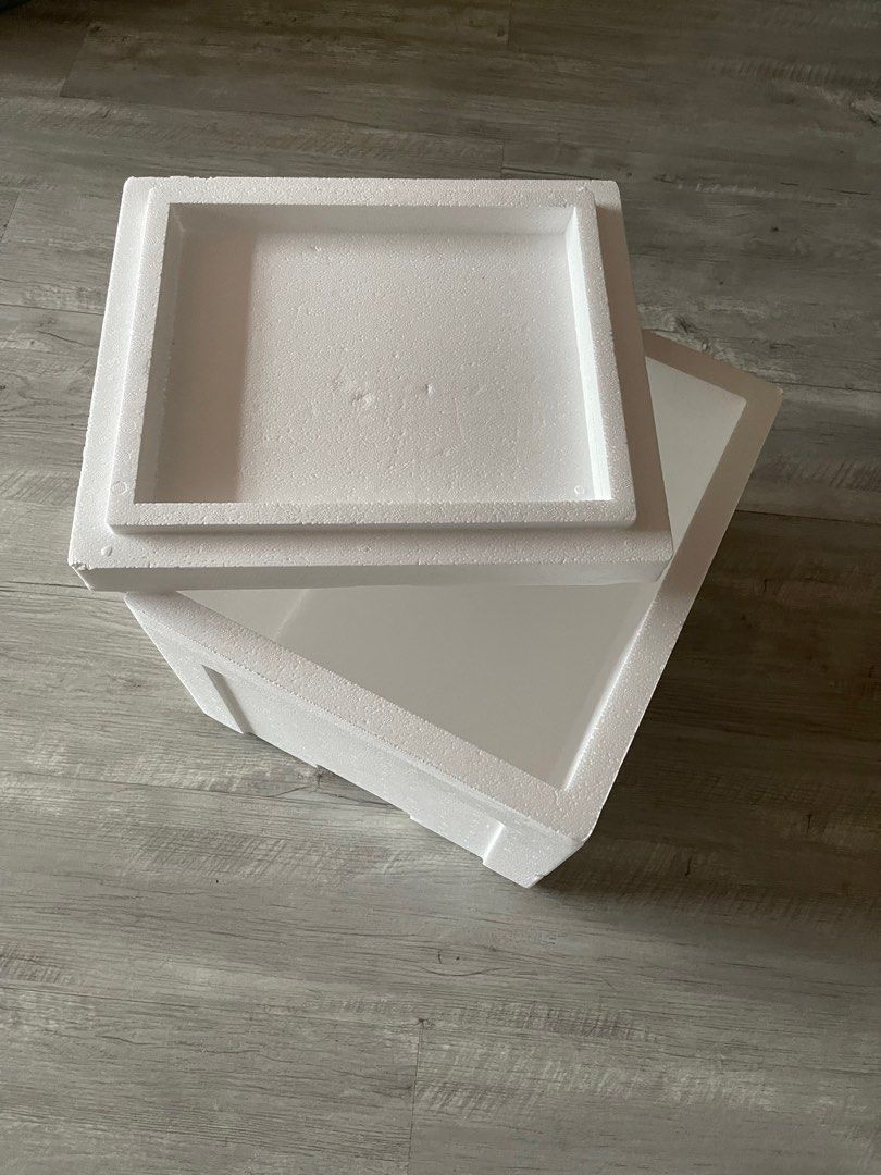 Styrofoam box used once to stored ice, Everything Else on Carousell